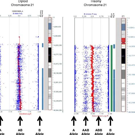 Single Nucleotide Polymorphism Snp Arrays Figure Description In Download Scientific Diagram