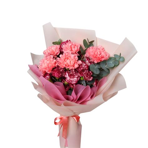 Endless Joy 5 Carnation 4 Carnation Spray Flower Bouquet