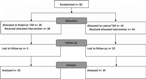 Flow Diagram Of Randomization Consolidated Standards Of Reporting Download Scientific Diagram