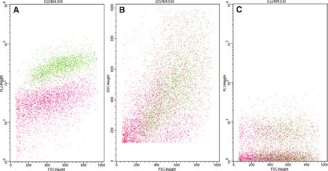 Flow Chamber Analysis During Fluorescence Assisted Cell Sorting Facs Download Scientific