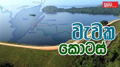 Parts Of A Lake වැවක කොටස් Youtube