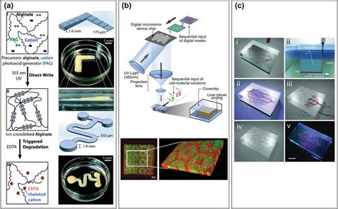 3d Printing Techniques For Patterning Topography A Alginate With