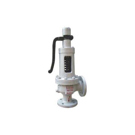 Safety Valve Stainless Steel Various Sizes Sleek Black Design Reliable Industrial Pressure