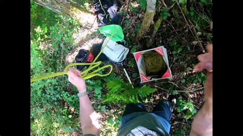 Simba The Brave Youtube