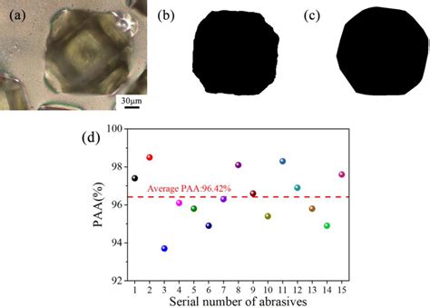 results of segmentation and projection area accuracy for base surface