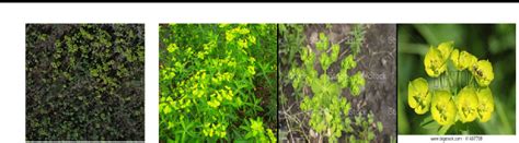 Effective Data Augmentation With Diffusion Models