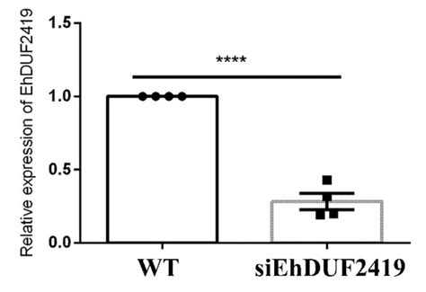 Cells An Open Access Journal From Mdpi Cells An Open Access Journal From Mdpi