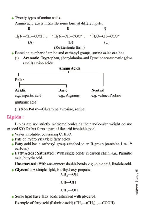 Biomolecules Class 11 Notes Pdf जैव अणु के नोट्स All Important Notes