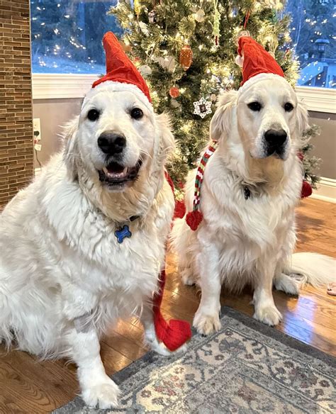 Recognizing The Contributions Of My Other Team On The Remote Work Days Tracy Eaves