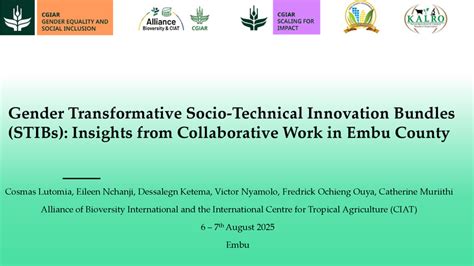 Gender Transformative Socio Technical Innovation Bundles Stibs