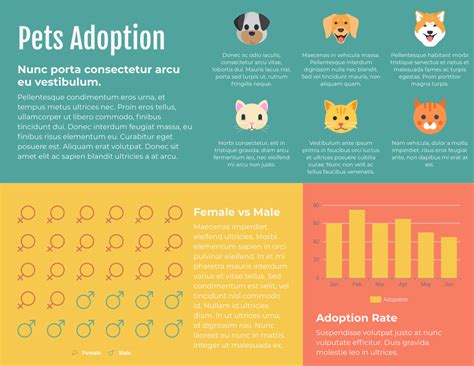 Pets Adoption Horizontal Infographic Visual Paradigm Blog