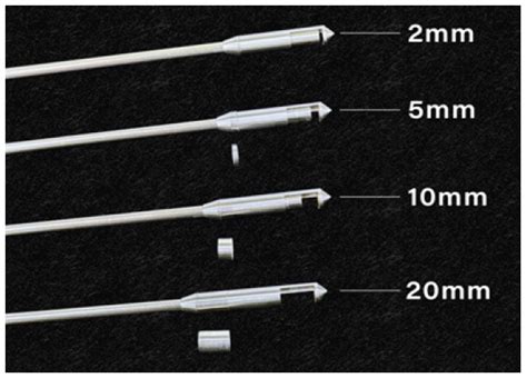 Dissolution Technologies Industry News February 2025 Introducing