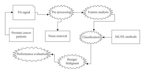 Prostate Cancer Identification Process Download Scientific Diagram