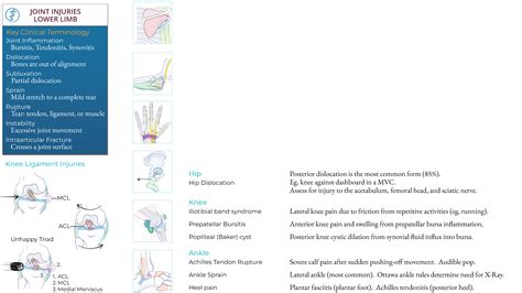 Clinical Medicine Joint Injuries Lower Limb Ditki Medical