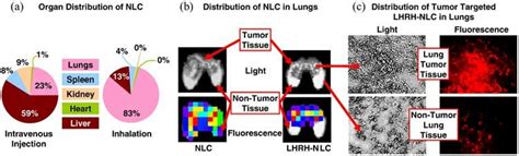 7 Depiction Of Diverse Functionality Of Nanostructured Lipid Carriers Download Scientific
