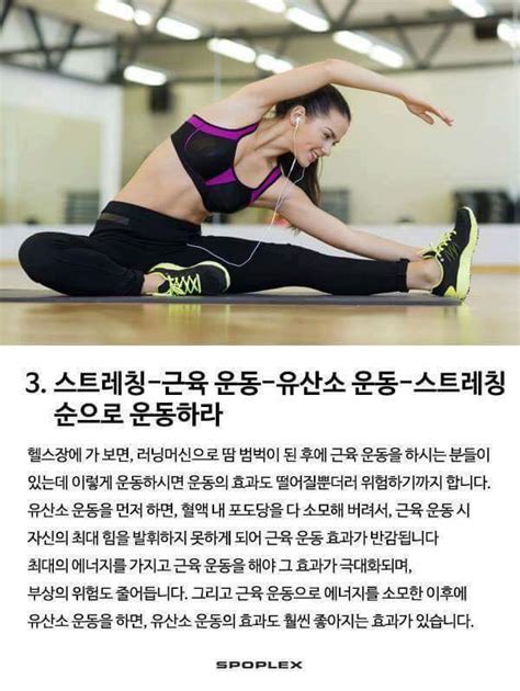 근육운동의 기본 인스티즈 Instiz 이슈 카테고리