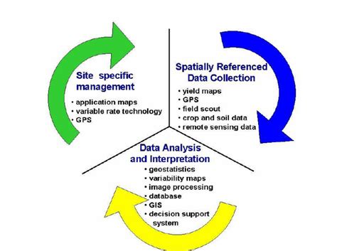 Data Processing And Management Cycles For Ssm Download Scientific
