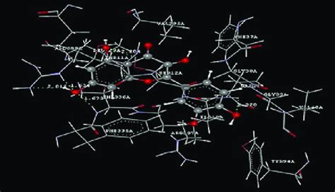 Quercetin Binding Interactions With Alpha Amylase Download