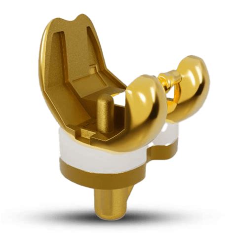 Destiknee For Total Knee Replacement Tkr Meril Life