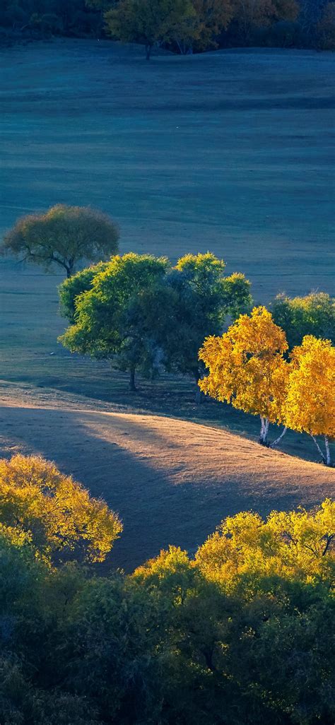 Wallpaper Autumn Trees Grassland 5120x2880 Uhd 5k Picture Image