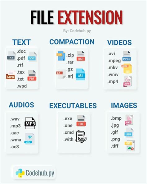 File Extension Cheatsheet Learn Computer Science Basic Computer