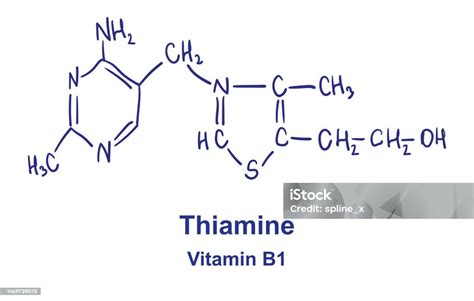 Tiamin Struktur Kimia Ilustrasi Vektor Digambar Tangan Ilustrasi Stok