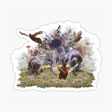 German Wirehaired Pointers Hunting Pheasant Sticker For Sale By Tammyhunterart Redbubble