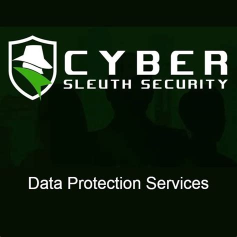 secure your data with cyber sleuth security data protection services