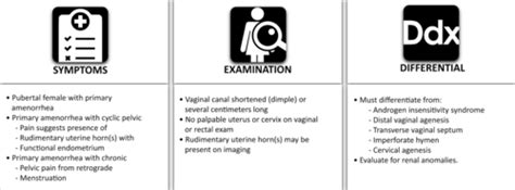 Asrm 2021 Müllerian Anomalies Classification Flashcards Quizlet