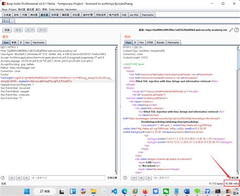 【burpsuite安全练兵场 服务端1】sql注入 17个实验（全） sql注入实验 csdn博客