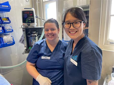 Animal Wellness Hospital