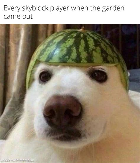 Melon Rhypixelskyblock