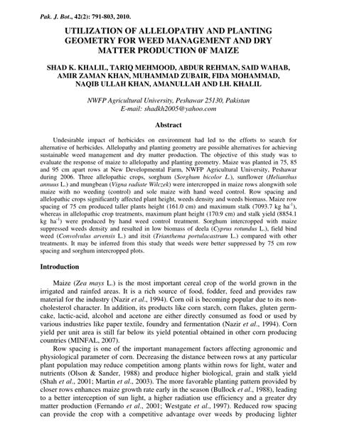 Pdf Utilization Of Allelopathy And Planting Geometry For Weed Management And Dry Matter