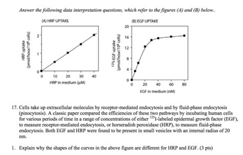 Protein Sorting And Secretion Flashcards Quizlet