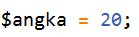 Mengenal Tipe Data Boolean Pada PHP