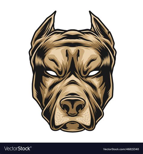 Pitbull Head Royalty Free Vector Image Vectorstock