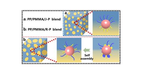 Compatibilization Of Immiscible Polypropylene Poly Methyl Methacrylate Blends By Silica