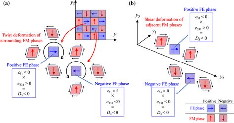 Schematic Diagram Of The Arrangement Of Phases And Polarization