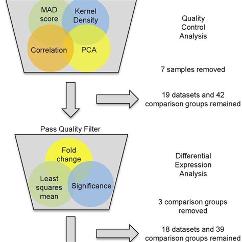 Outline Of Iterative Filtering Process Analysis Pipeline To Select And