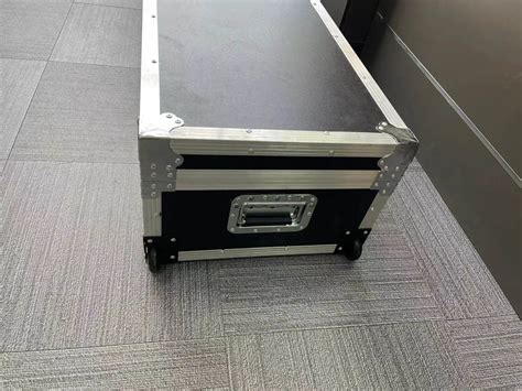 Hard Casing For Sex Dolls TPE Silicone Realistic Love Doll