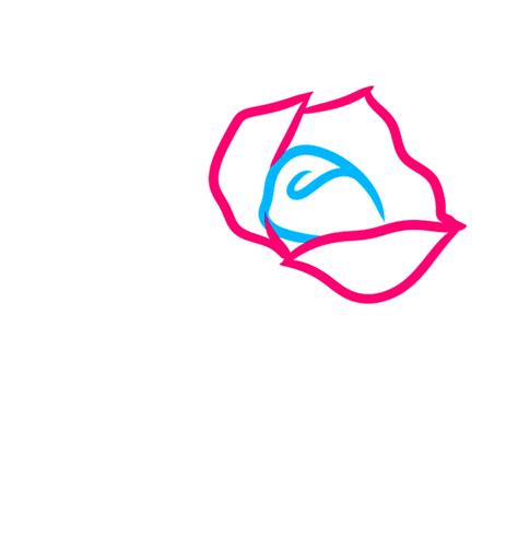 Как нарисовать бутон розы