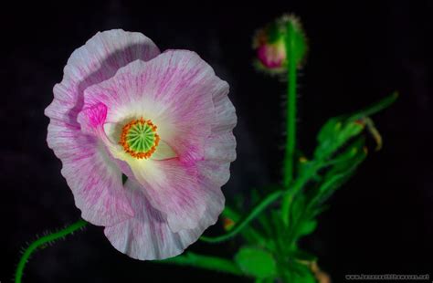 Colour Isolation Photography Beneath The Waves