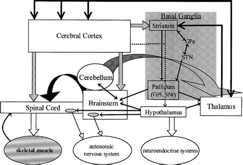Figure From Motor Control Semantic Scholar