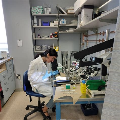 Gallery 1 — Memory And Cognition Lab