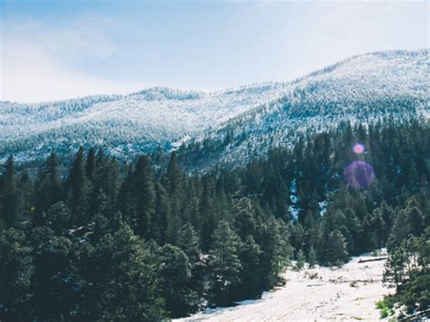 Visita Los Bosques De Monterreal