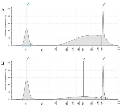 Genomic Dna Sonication And Fragment Analysis Murray Lab