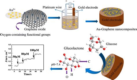 Electrochemical Deposition Of Gold Nanoparticles At John Furber Blog