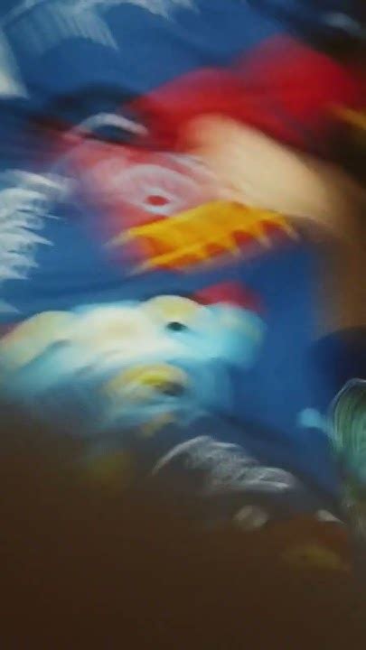 Gabuttt Fypppppppppp Youtube