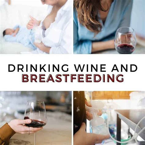 Can I Have A Glass Of Wine Every Night While Breastfeeding Habitat