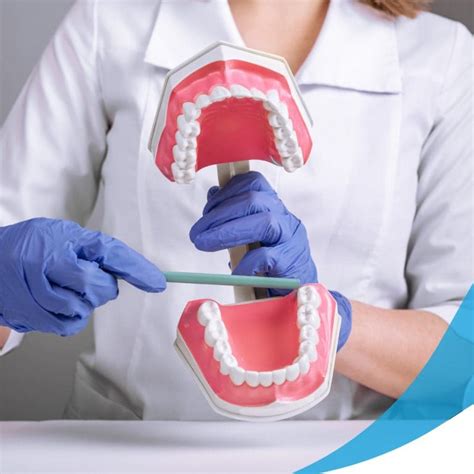 Wisdom Teeth 101 Understanding Your Third Molars Smile Every Day